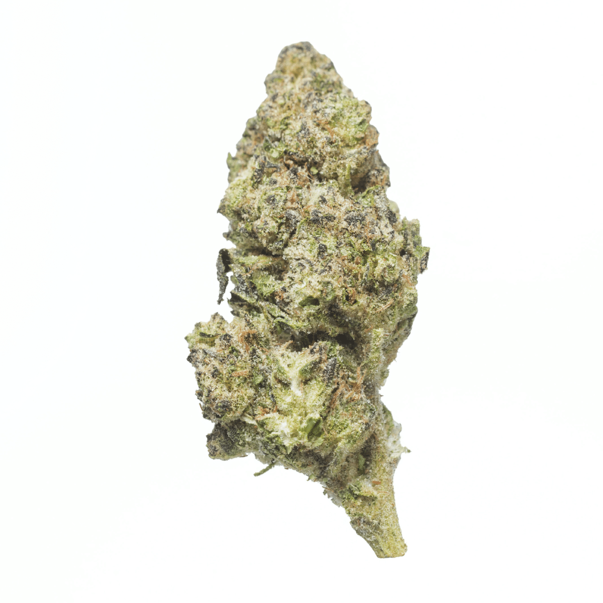 Mr. X Craft Reserve THCA Flower - Snapdragon Hemp