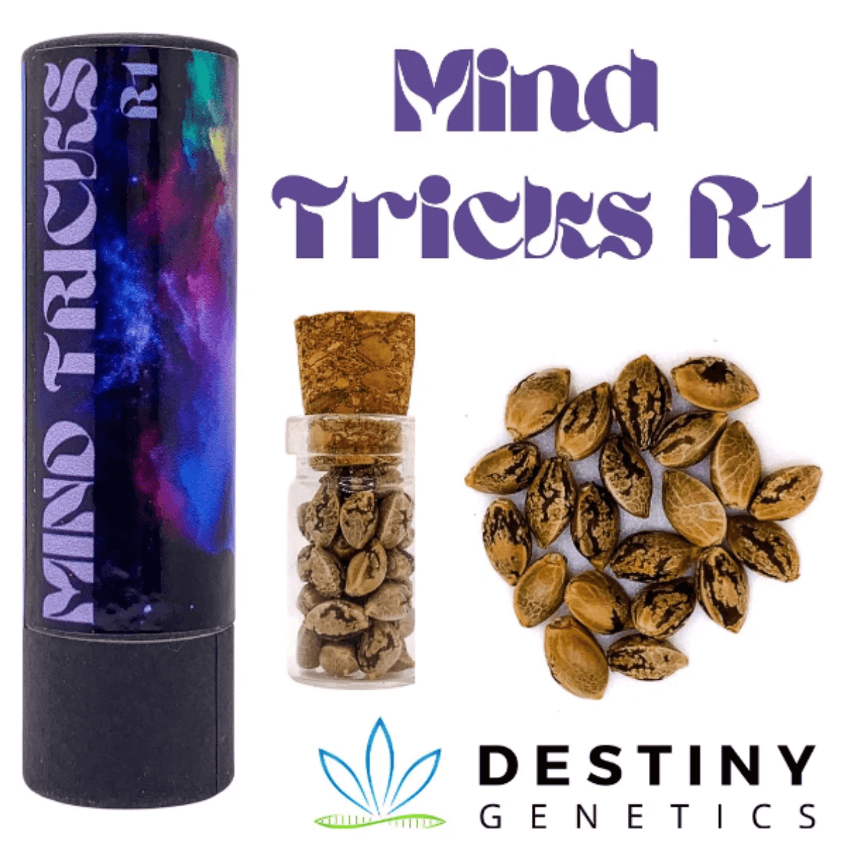 DESTINY GENETICS THCA Dominant Seeds - Snapdragon Hemp