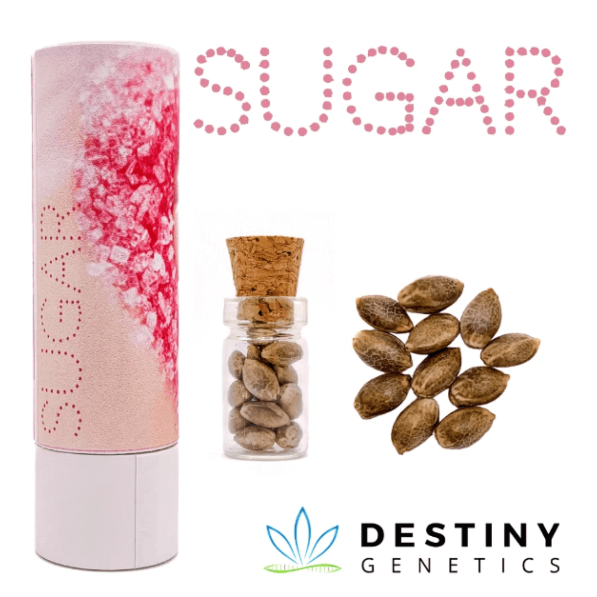 DESTINY GENETICS THCA Dominant Seeds - Snapdragon Hemp