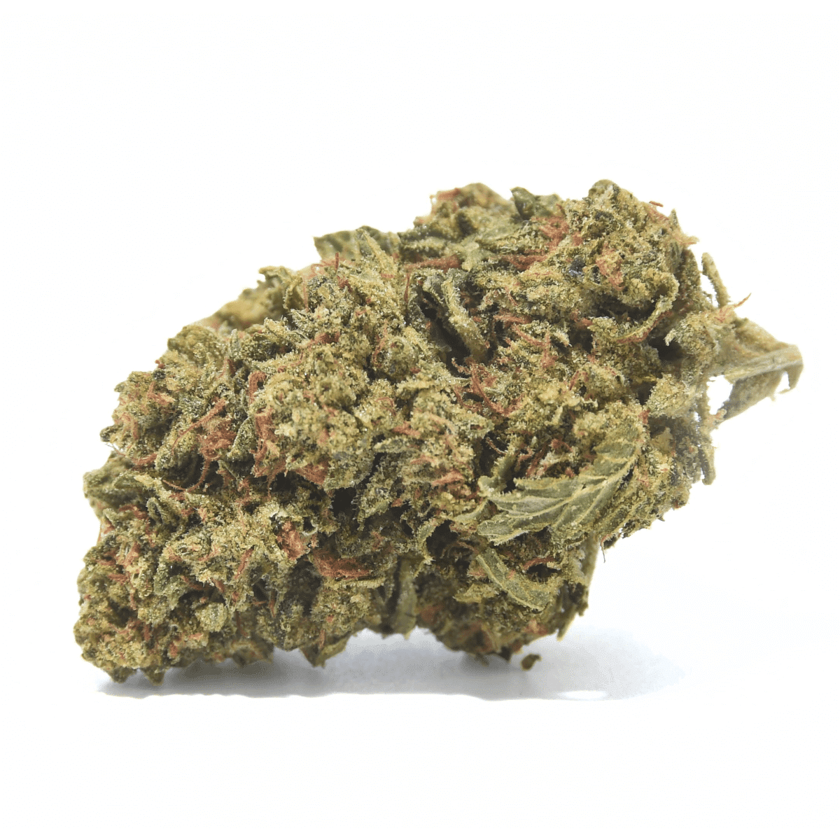 Pure Kush Craft Reserve THCA Flower - Snapdragon Hemp