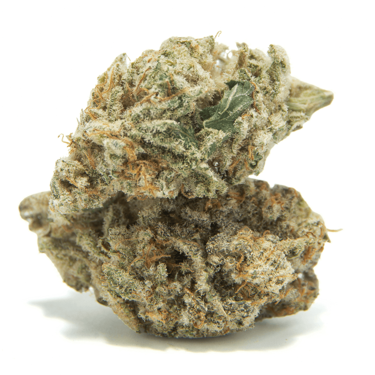 Blue Razz Craft Reserve THCA Flower - Snapdragon Hemp