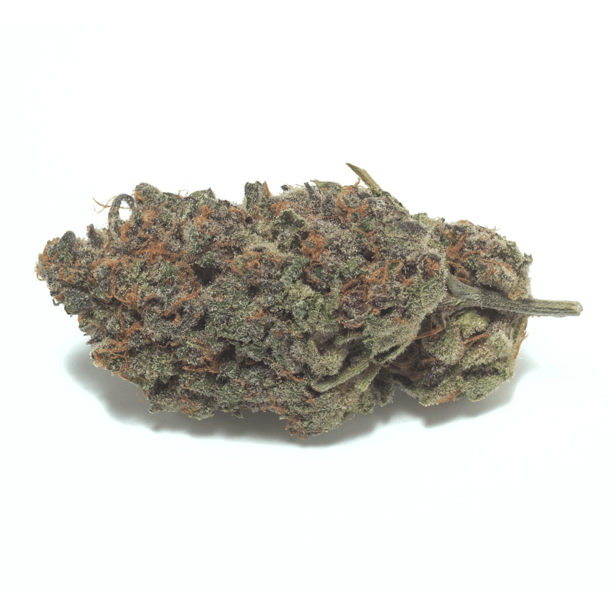 Black Cherry Soda Craft Reserve THCA Flower - Snapdragon Hemp