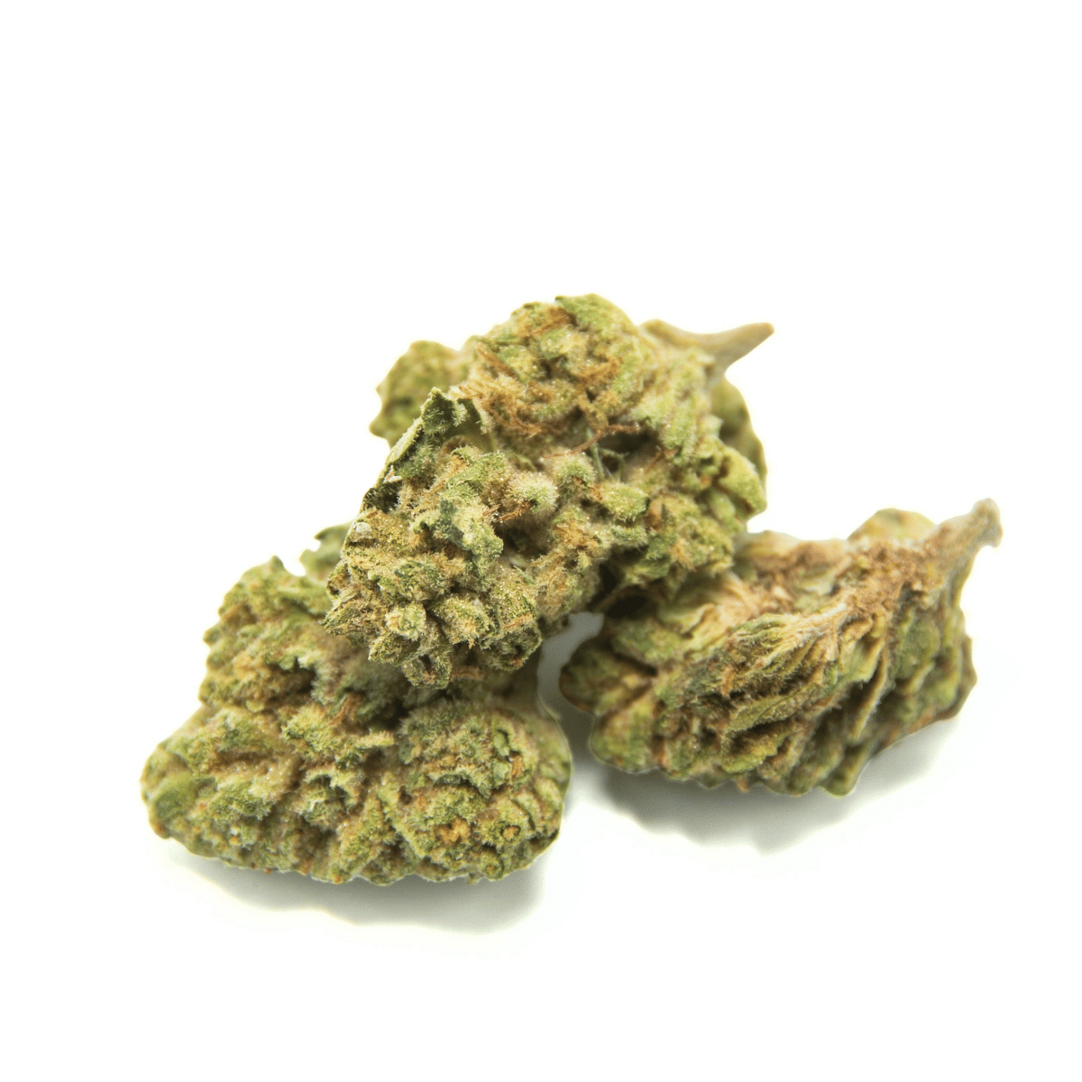 GMO Cookies Dragon's Cut THCA Flower - Snapdragon Hemp